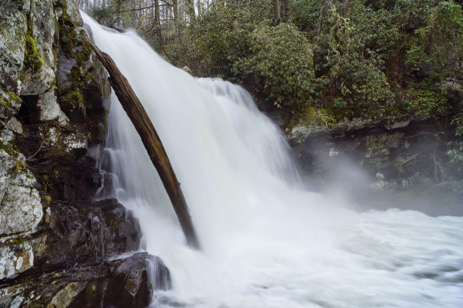 Abrams Falls, Cades Cove, Great Smoky Mountains - The Road Lots Traveled
